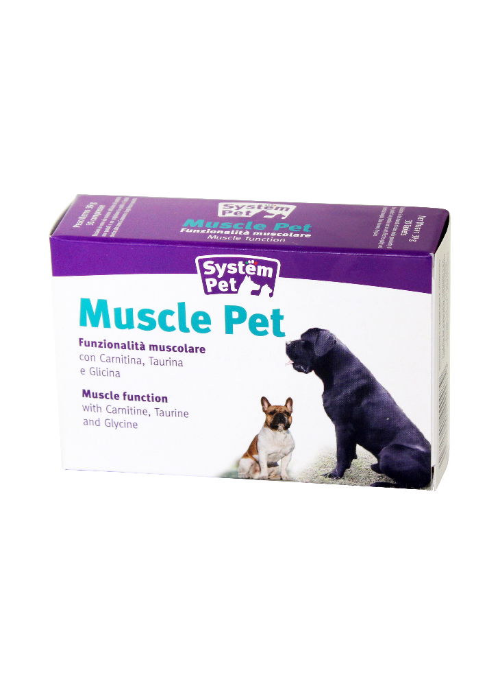 Muscle Pet | Urban Dog