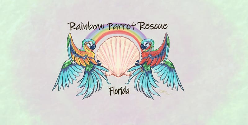 Rainbow Parrot Rescue Florida