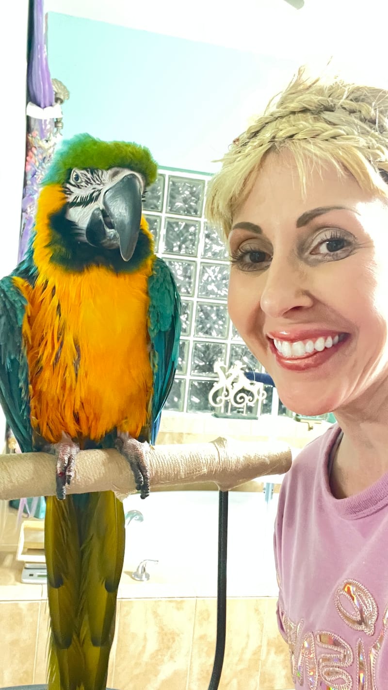 - Rainbow Parrot Rescue Florida