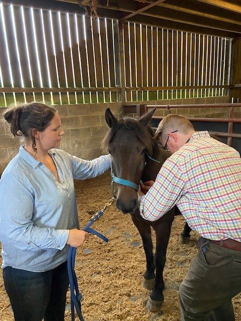 Vet check and Strangles Blood Test before this chap goes off ...