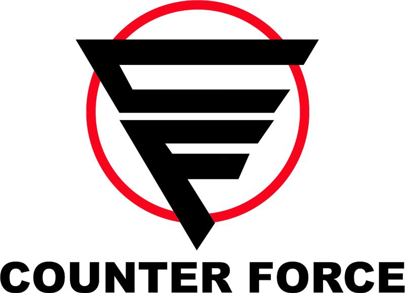 Services - At Counterforce System we offer a wide range of services ...
