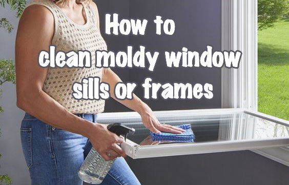 How to Clean Moldy Window Sills or Frames with Unique Tips & Tricks ...
