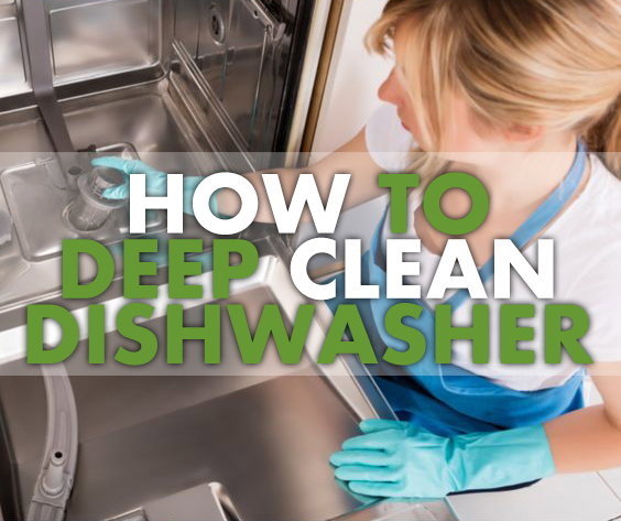 Your Dishwasher's Best Friend: Microfiber's Superior Cleaning Power ...