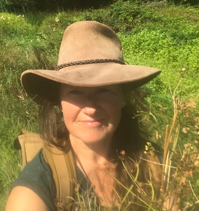 Gallery - NICK VINEY