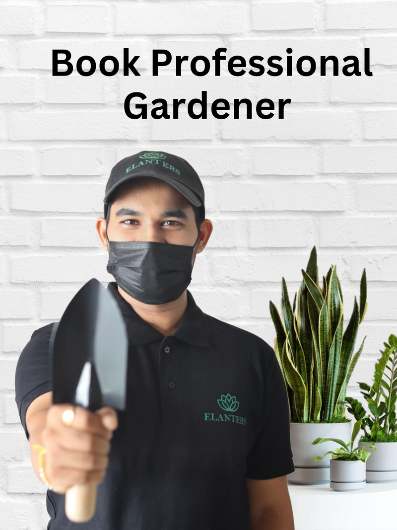 Hire Home Gardener