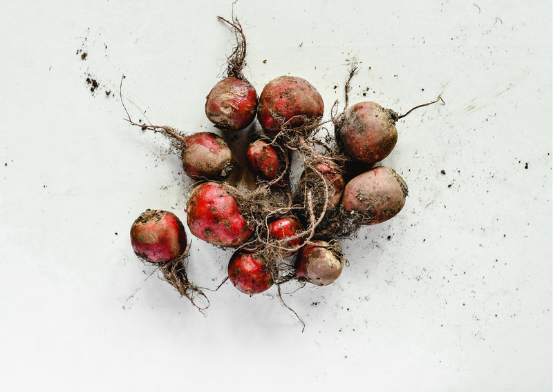 Deep Red & Earthy Beetroot Soup for the Soul