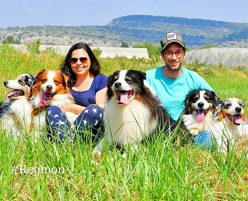 שימיק רגב ומורן שמעוני משפחת רגמון - Regmon Australian Shepherds