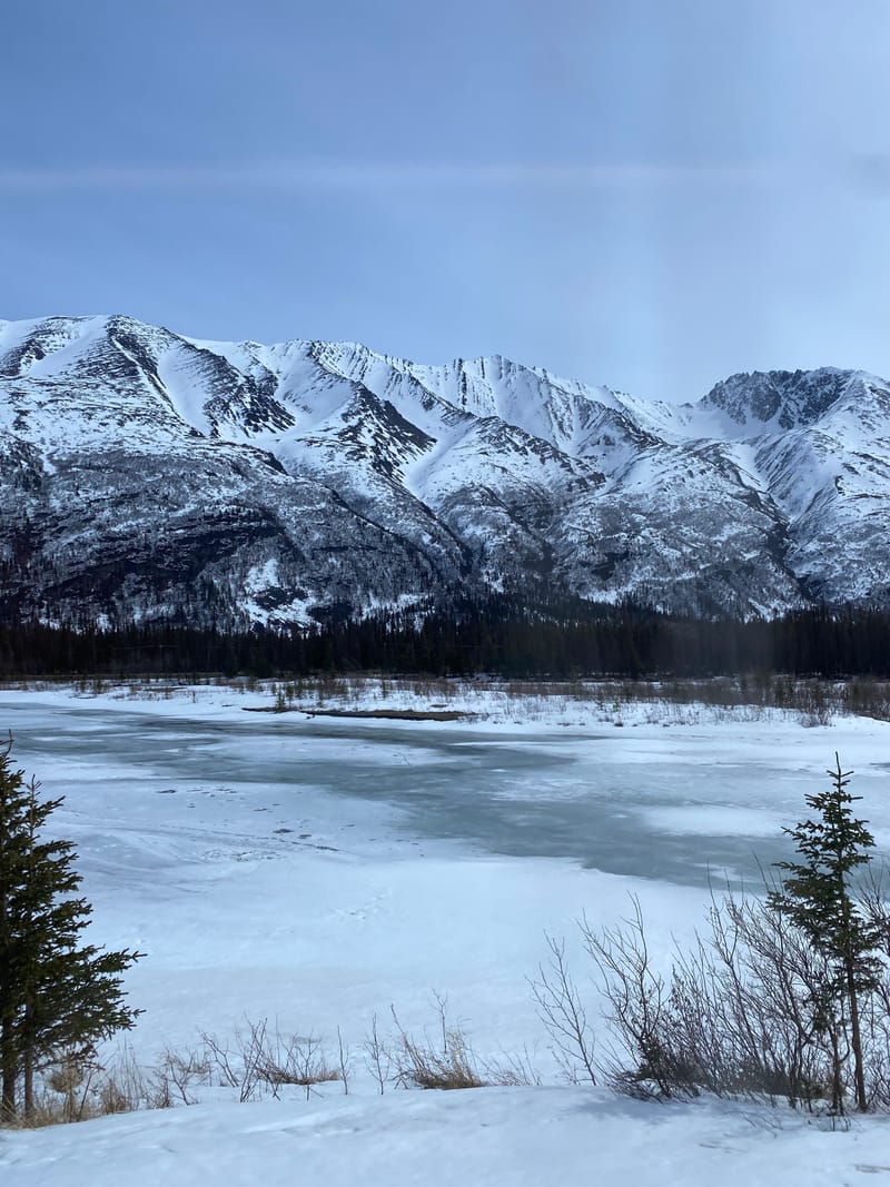 - Deb Dog Travels Through US