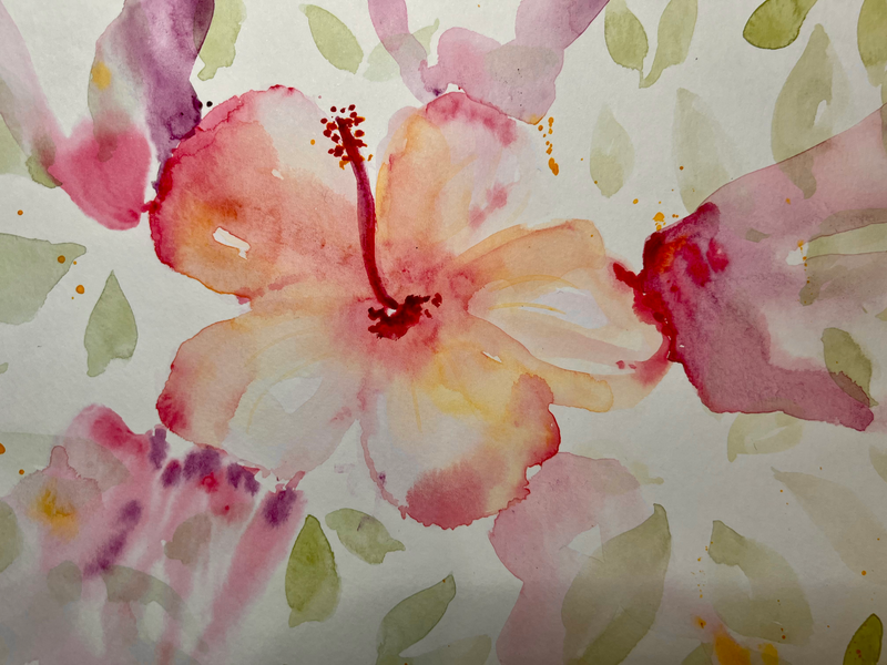 Watercolour Paintings - Jane Taylor Originals
