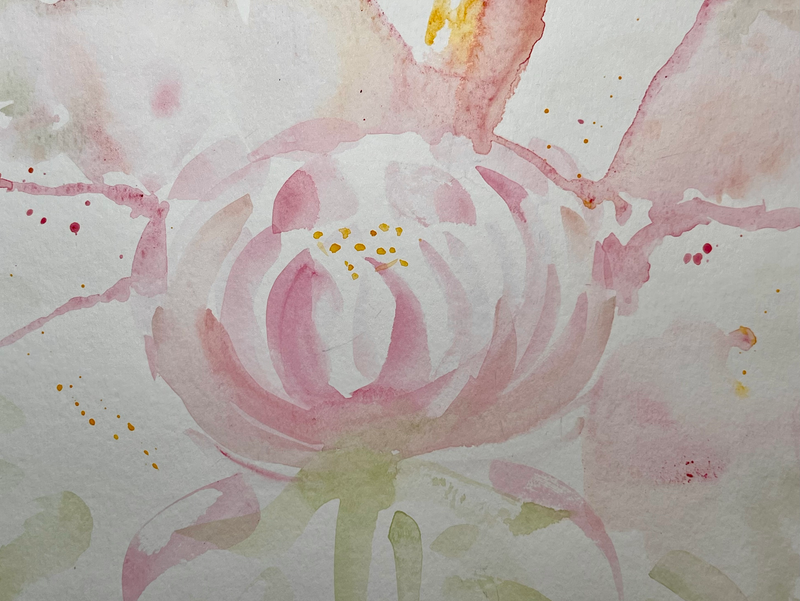 Watercolour Paintings - Jane Taylor Originals