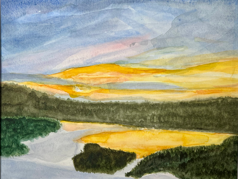 Watercolour Paintings - Jane Taylor Originals