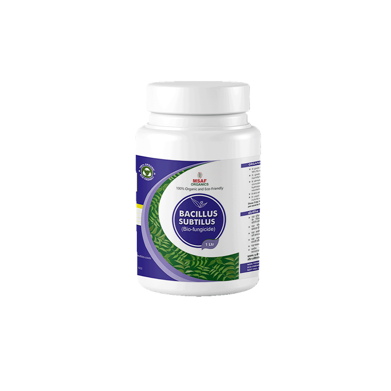 BACILLUS SUBTILIS - MSAF BIO ORGANICS PVT LTD