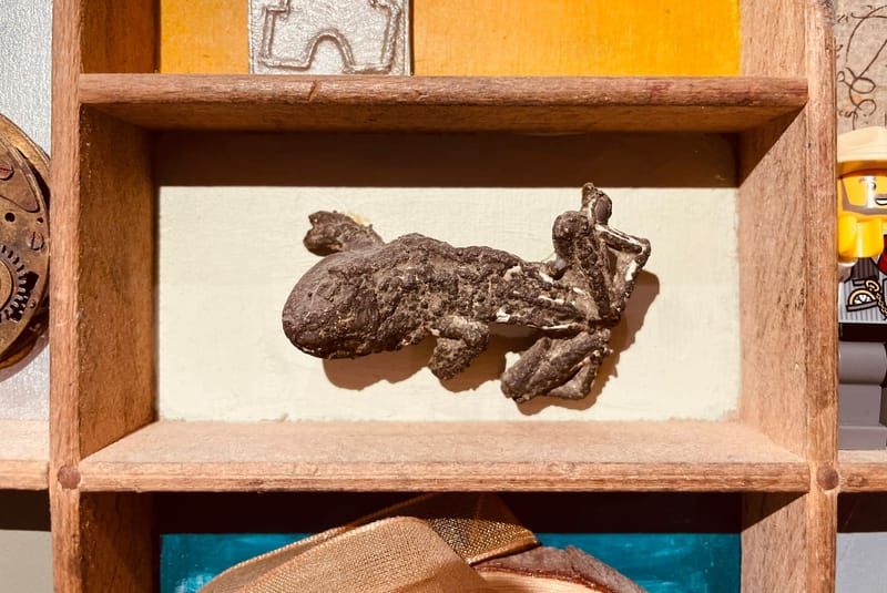 Squashed frog - Gallery image 23 of 53 - Fire, Forge and...