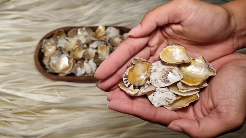 Pakana - Ori Tahiti Supply