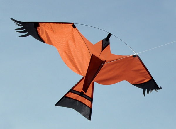 Hawk Bird of Prey Kite - will fly as a windsock - skyblue leisure