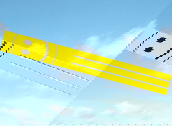 Smiley Face Flag Windsock - skyblue leisure