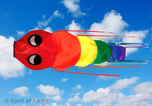 Giant Bug Windsock - skyblue leisure