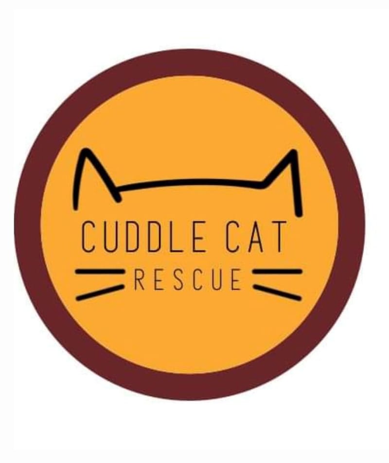 Cuddle Cat Rescue