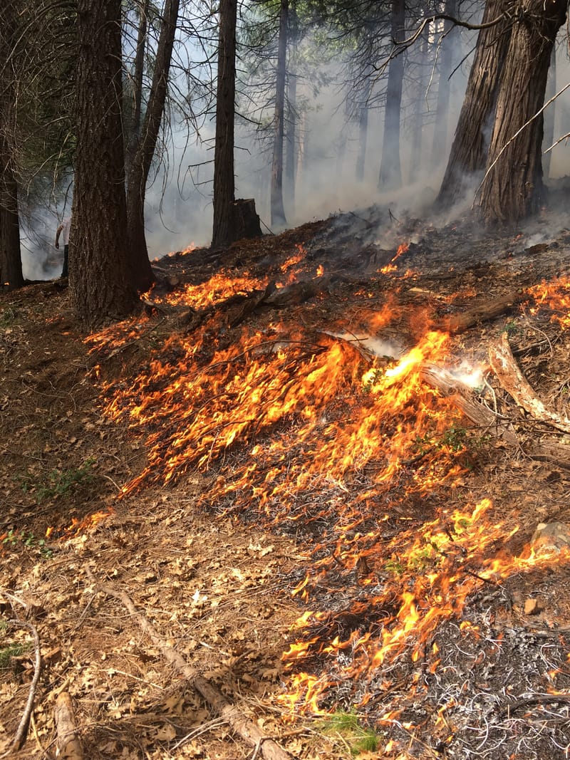 CAL FIRE Prescribed Fire Program - Yuba Bear Burn Co-op