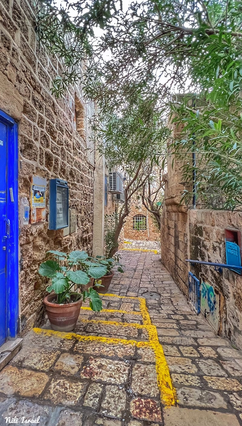Gallery - image 58 of 60 - Nili Israel