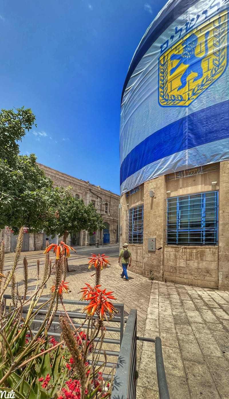 Gallery - image 29 of 85 - Nili Israel