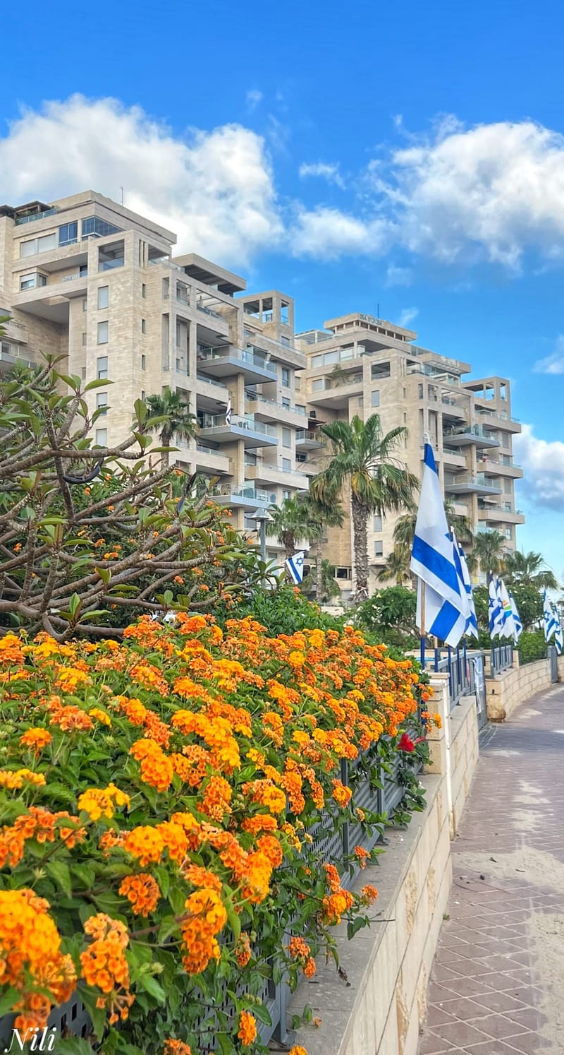 Ashdod City - Nili Israel