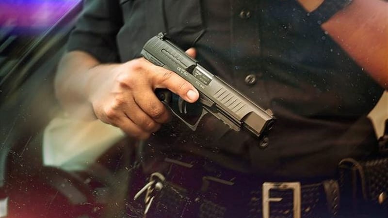 Concealed Carry Party Plan