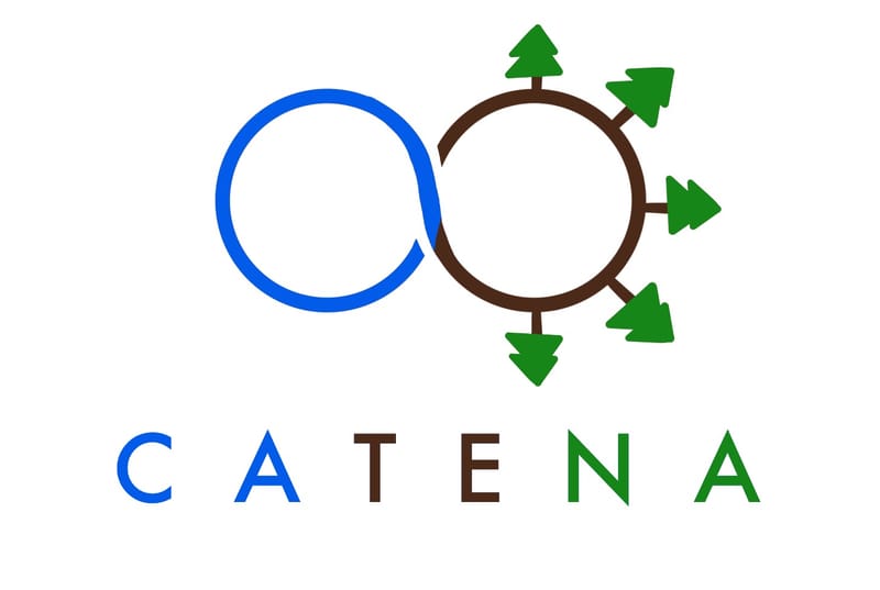 Catena | Advancing Industries with Cutting-Edge Nanotechnology