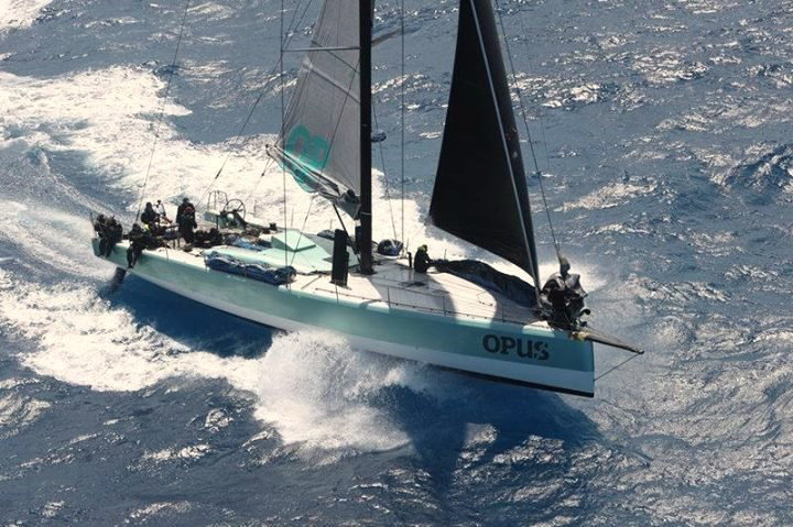 Race - ACS Professional Sailor