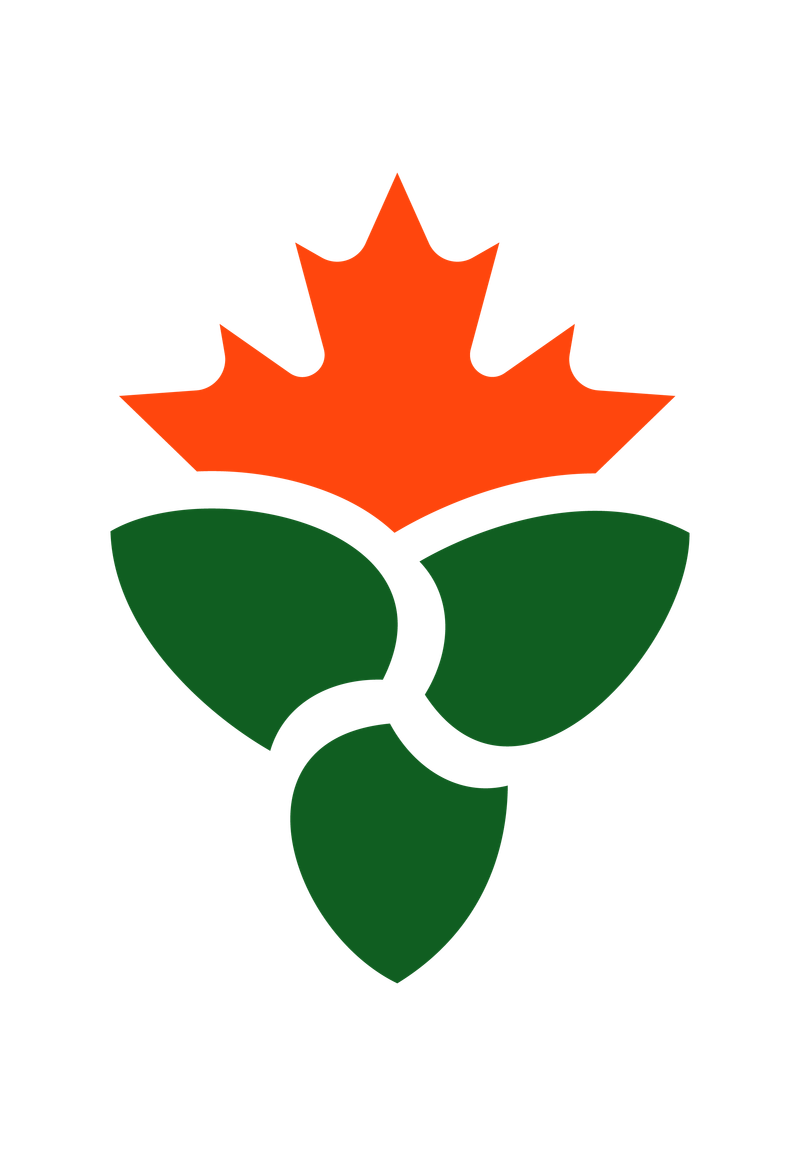 Maple Pipeline Installation Services