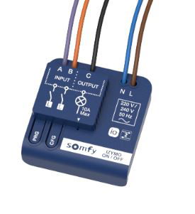 Micro récepteur SOMFY IZYMO