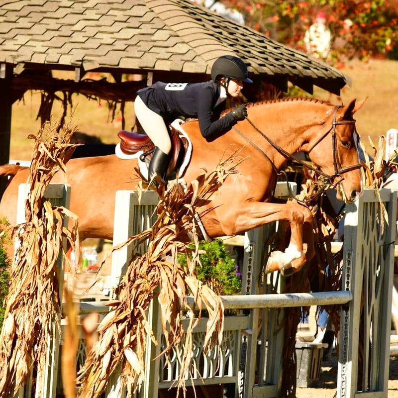 POEC - Pleasant Oaks Equestrian Center