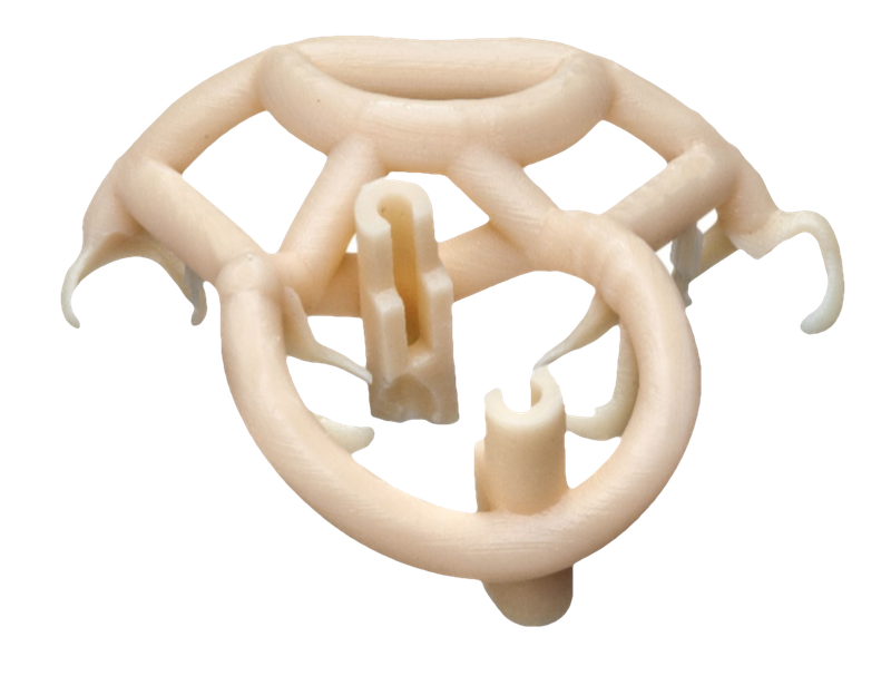 Genius™ Guided Surgery Custom Stent - Single Implant starting at ...