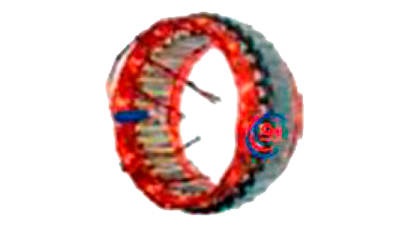ESTATOR GOL PRESTOLITE - 602203 - CM INDUZIDOS