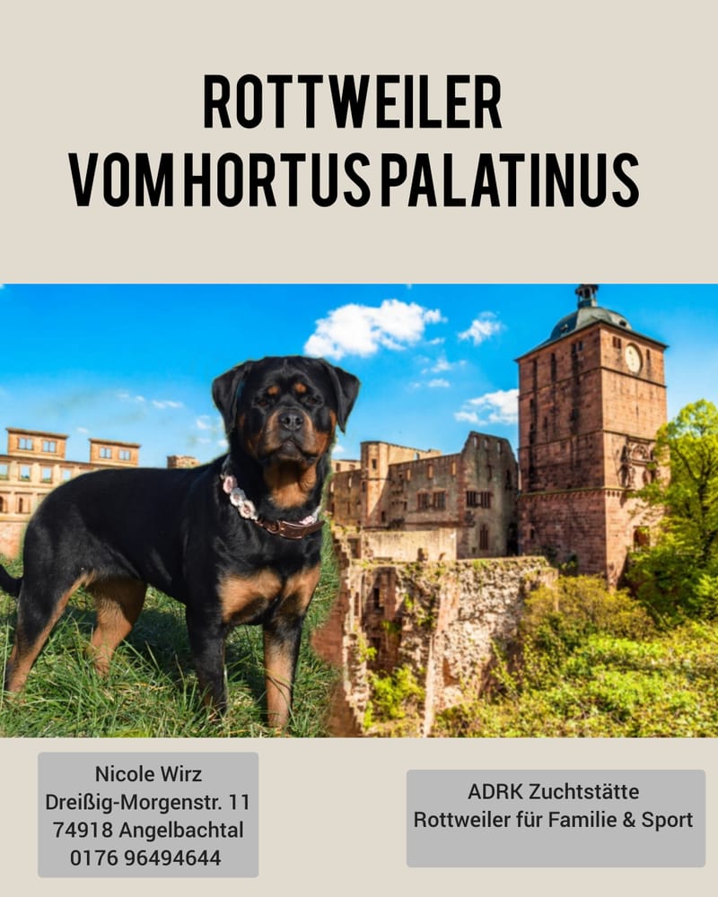 Über Uns - ADRK Rottweiler Zuchtstätte vom Hortus Palatinus