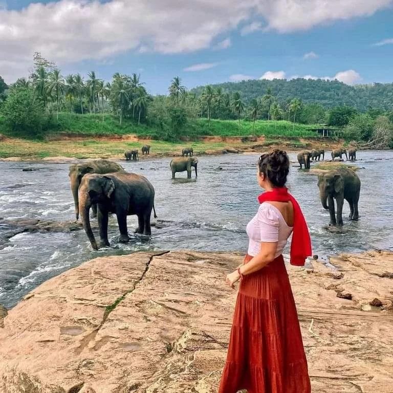 En Route Ceylon | 6 Days Sri Lanka Budget Tour Package