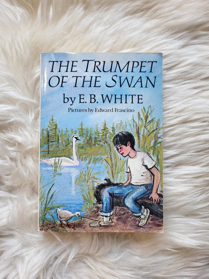 Cam Jansen and the Mystery at the Monkey House - Ex Libris Bookshop