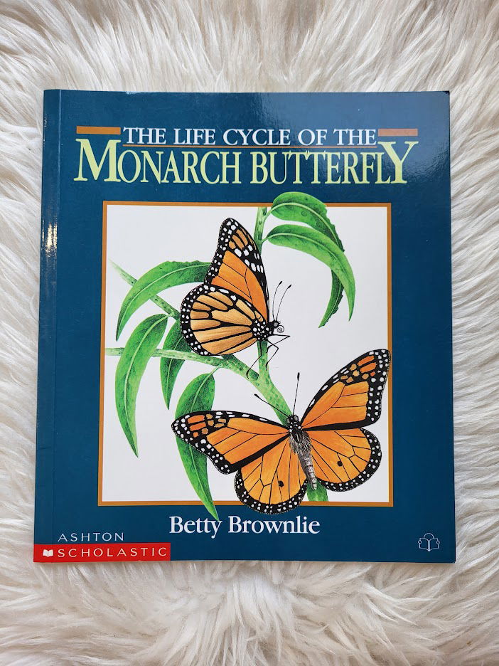 The Life Cycle of the Monarch Butterfly - Ex Libris Bookshop