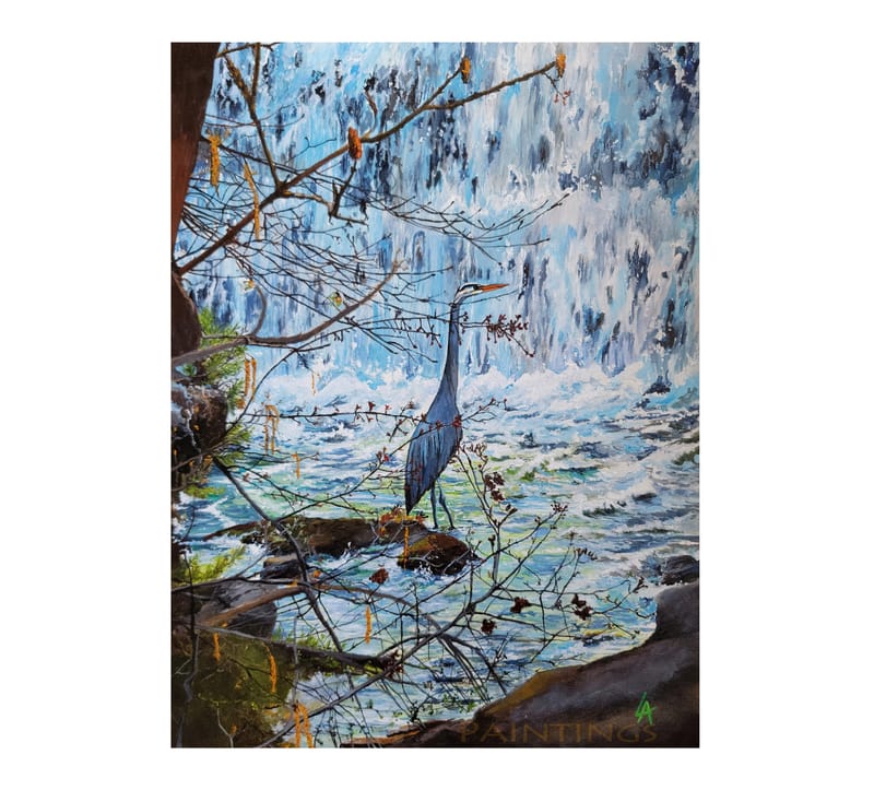 Nature All Around Us