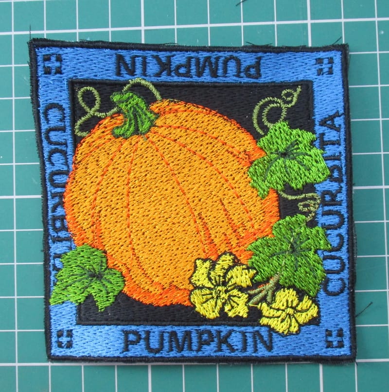 Embroidered Pumpkin Patch/Badge - bramleybazaar.co.uk