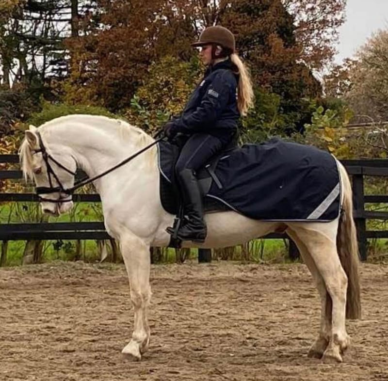 HORSE RIDING LESSONS - Mandi Pritchard Equestrian