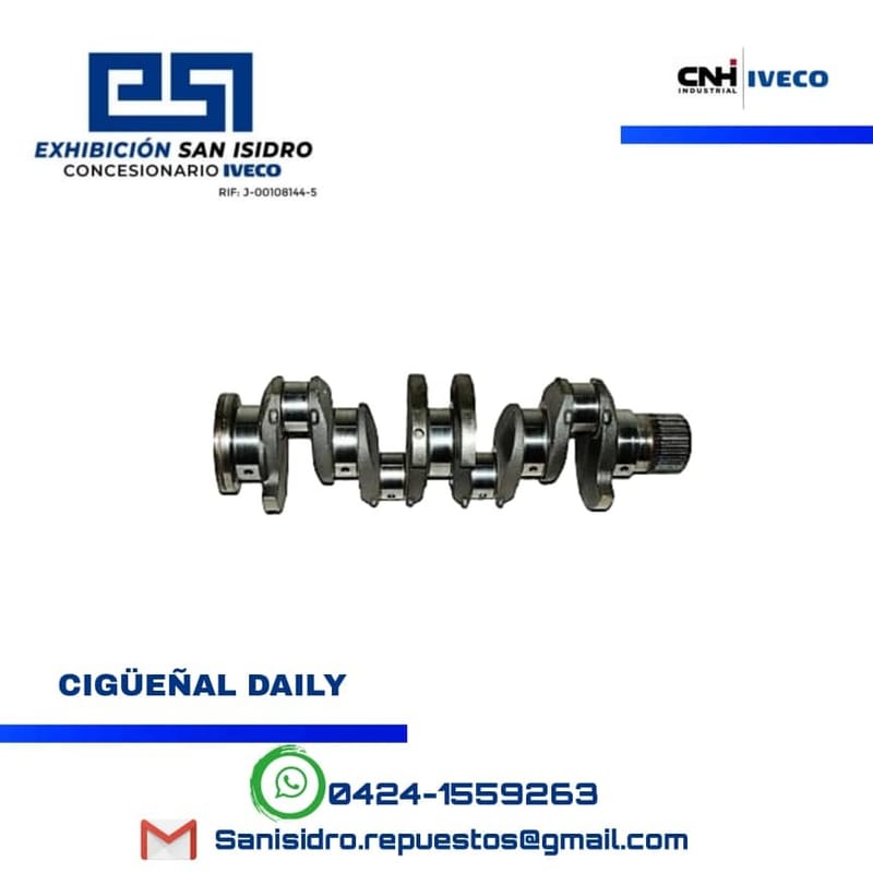 DAILY - Exhibición San Isidro