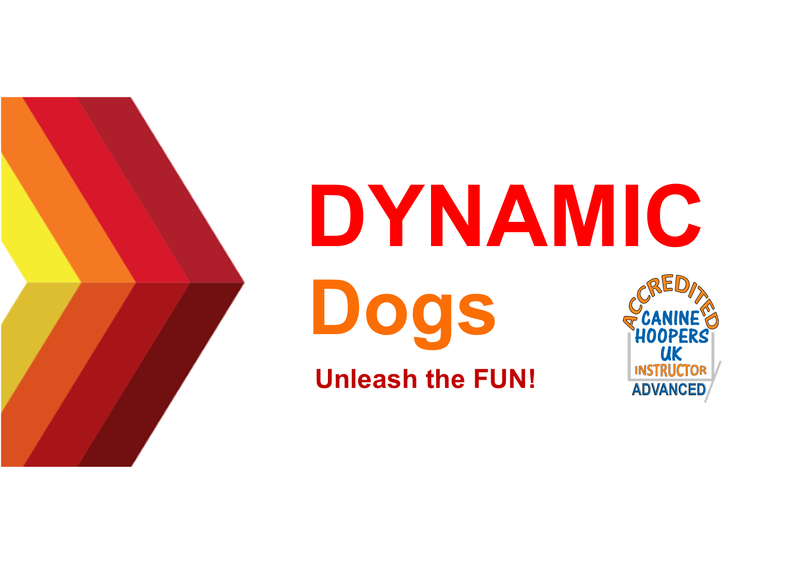 Dynamic Dogs