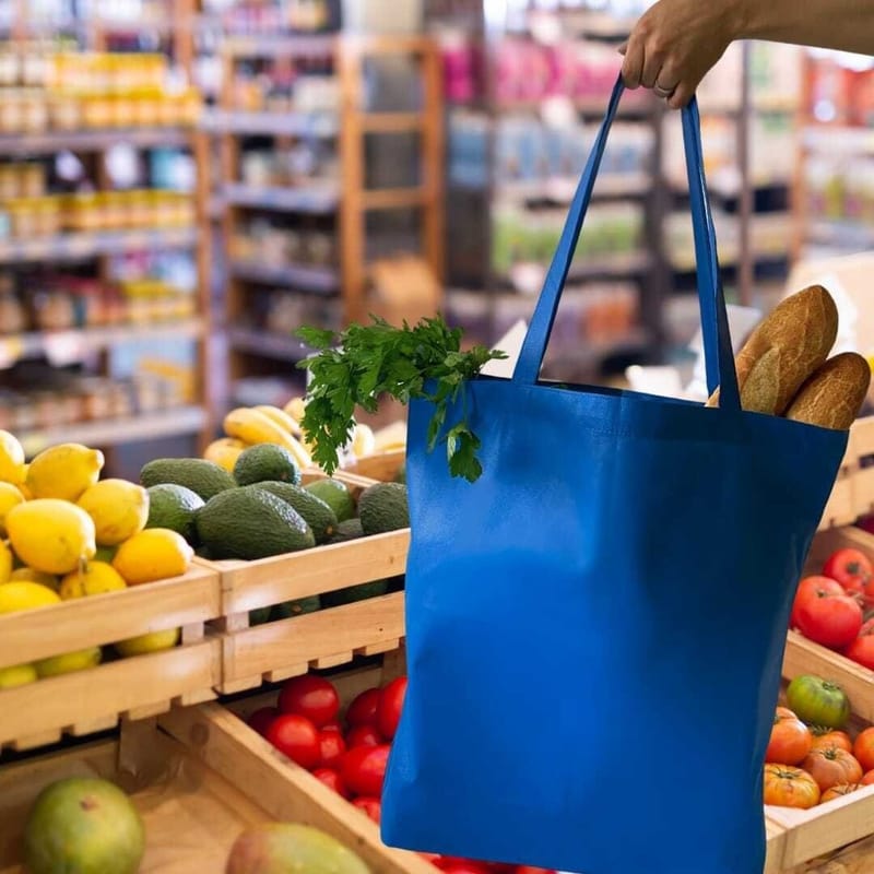 ECOBAGS TIPO HALADERA - ECOBAGS