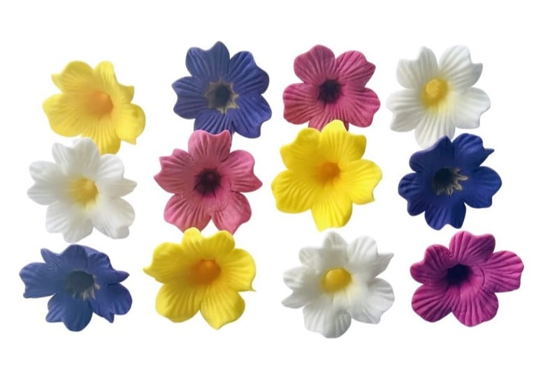 Set of 12 Primula Flowers Cake Toppers - Sugar Craft by Rosie