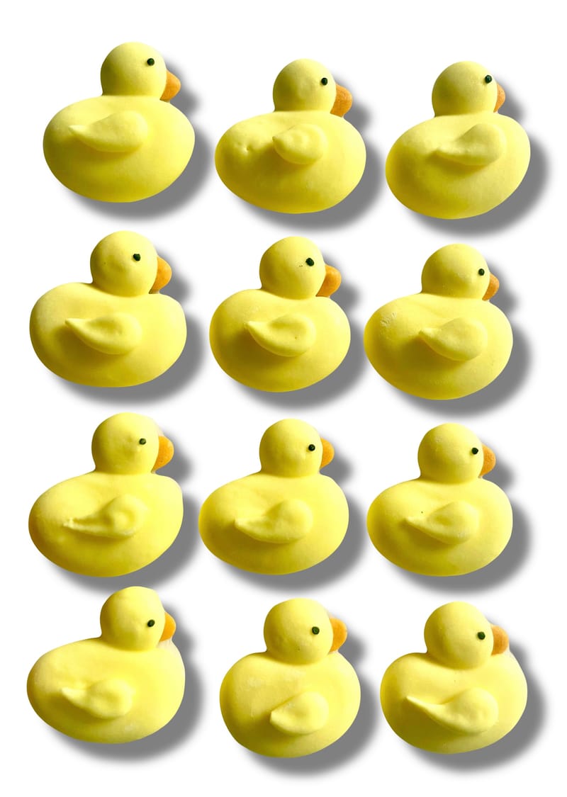 Set of 12 Chicks / Ducks Cake Toppers - Sugar Craft by Rosie