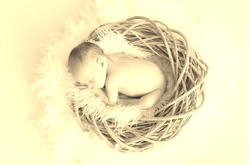 Nourished By Faith - SARAH.ANN.ROSE