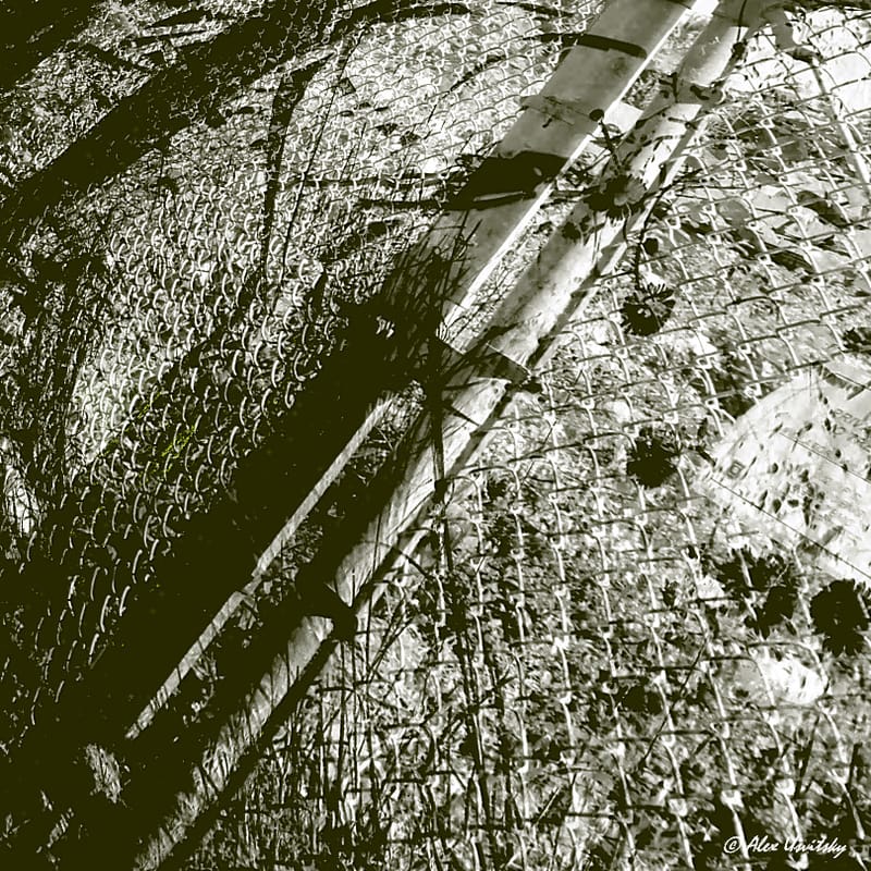 Out of Trouble - Alex Usvitsky