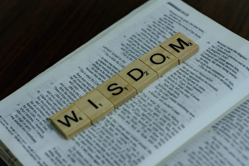 How To Cultivate Productivity Using Wisdom From The Bible - tladipat