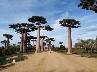 BIODEV Madagascar consulting - Groupe Biodev Madagascar